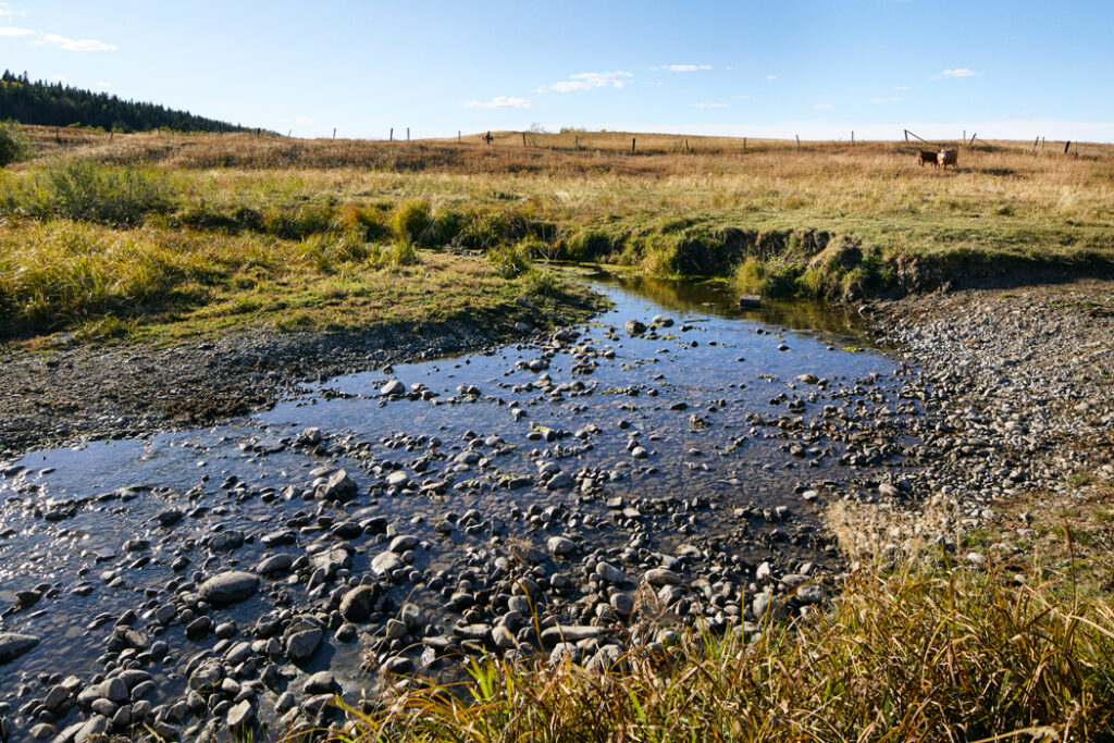 Hudson in Pine Creek – Nature at Your Doorstep