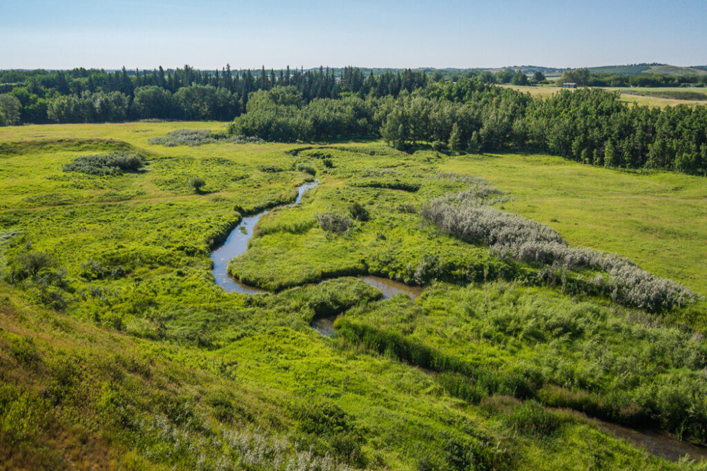 Hudson in Pine Creek – Nature at Your Doorstep